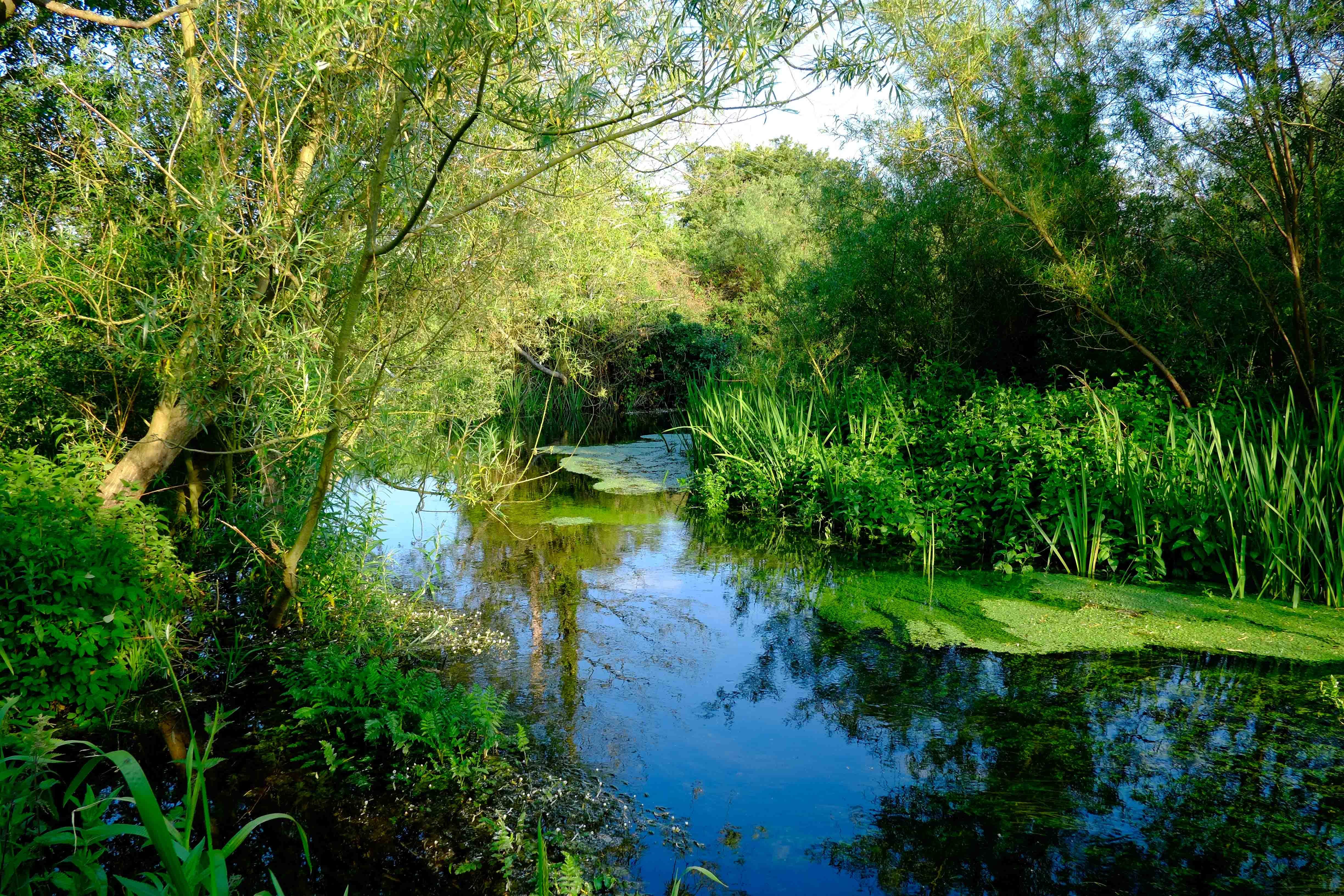 Chalk Stream Restoration Strategy
