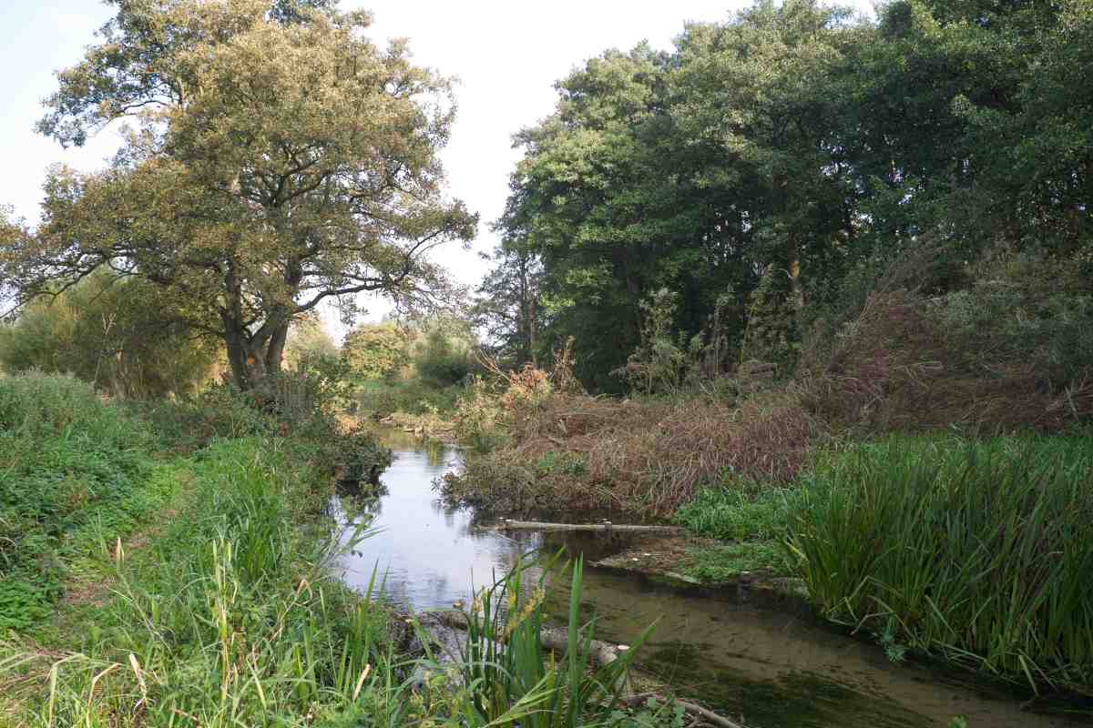 River “Restoration”?