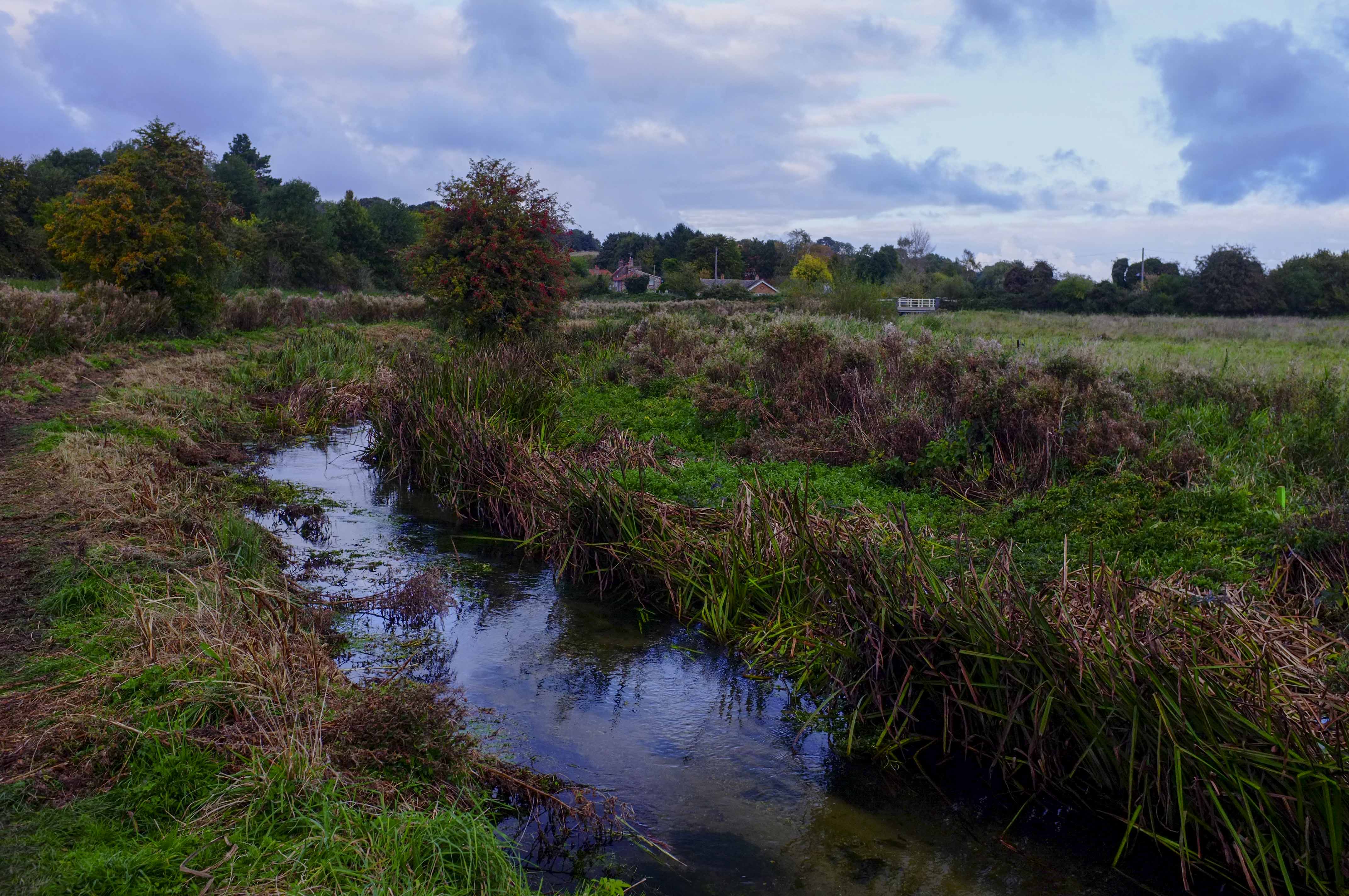 Putting the Gravel Back